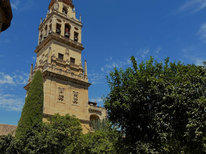 Global Students Dive into the Heart of Granada